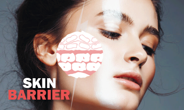 Strengthening The Skin Barrier – BBlog